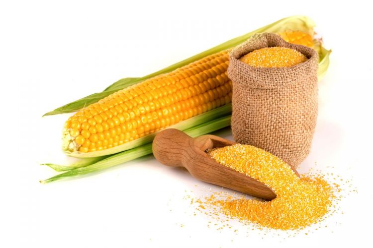 Feed Ingredients